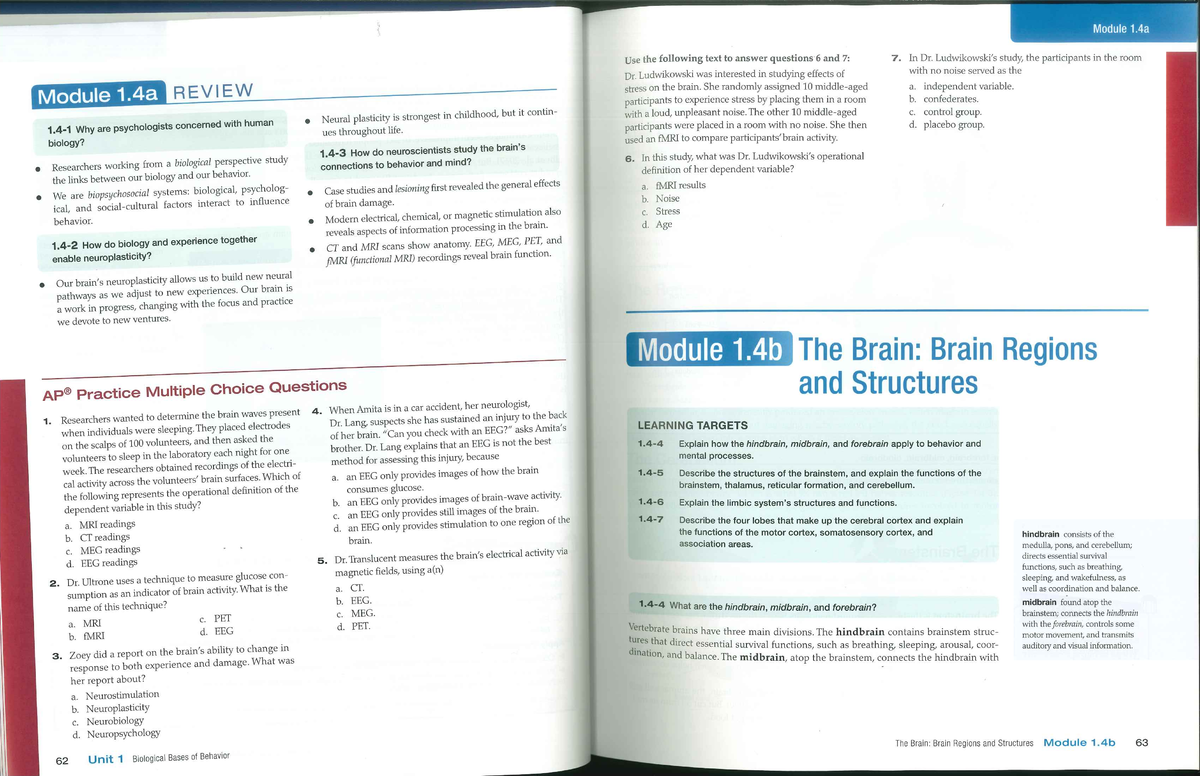 Final Exam Study Guide for ABC123: Brain Structures and Functions - Studocu