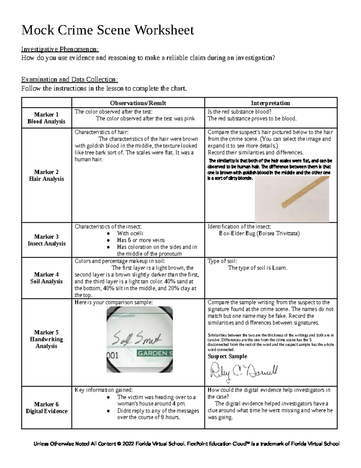 2.07 Mock Crime Scene Analysis Worksheet: Evidence & Findings - Studocu