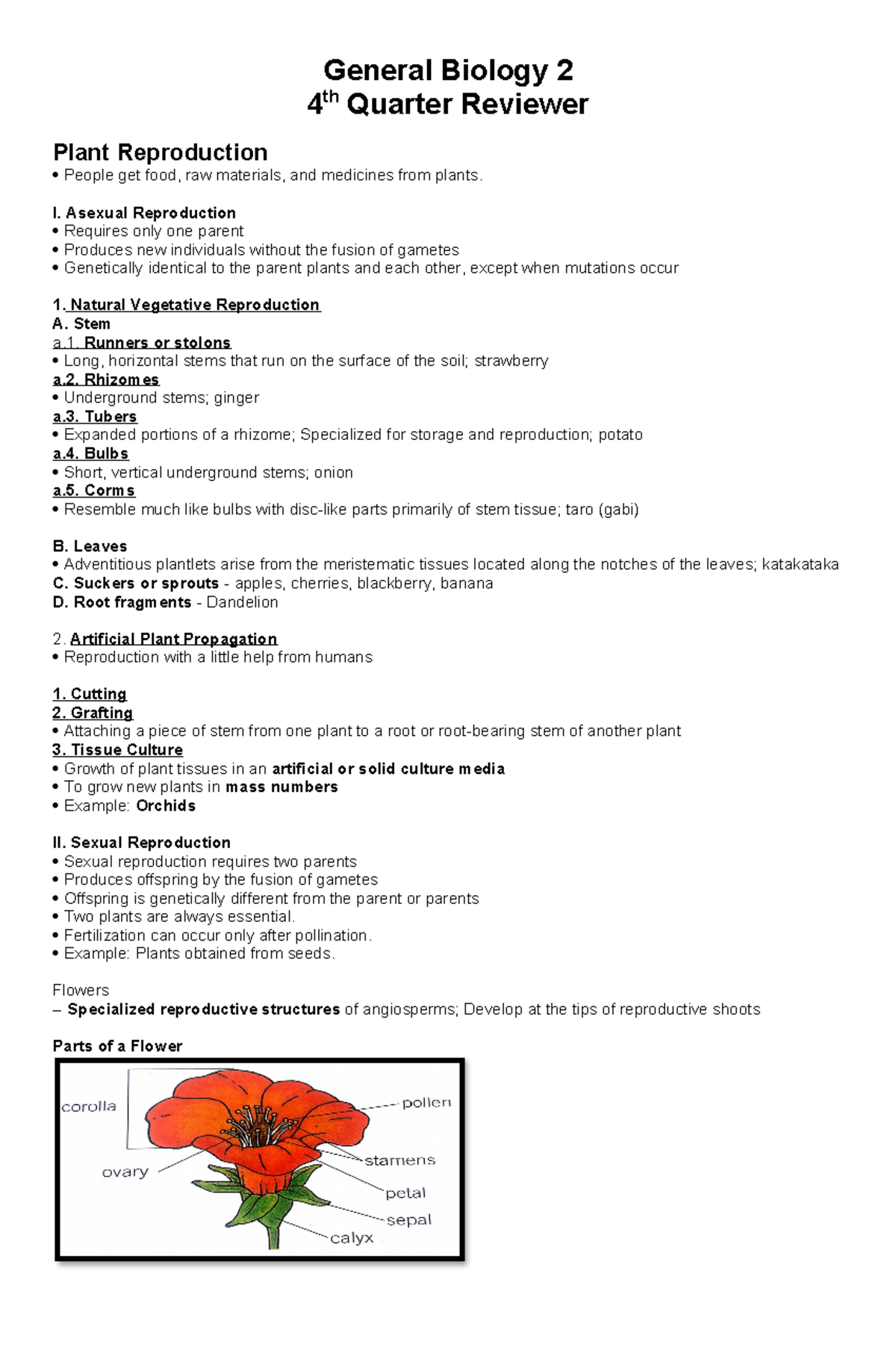 Bio 2 4th Quarter Reviewer: Plant & Animal Reproduction Concepts - Studocu