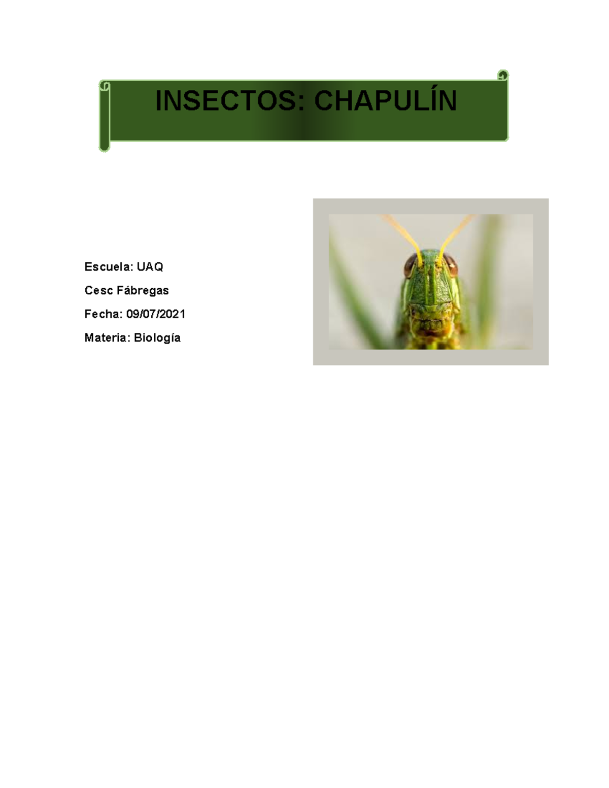 Estudio sobre el Chapulín: Insectos y su Ecología (Biología UAQ) - Studocu