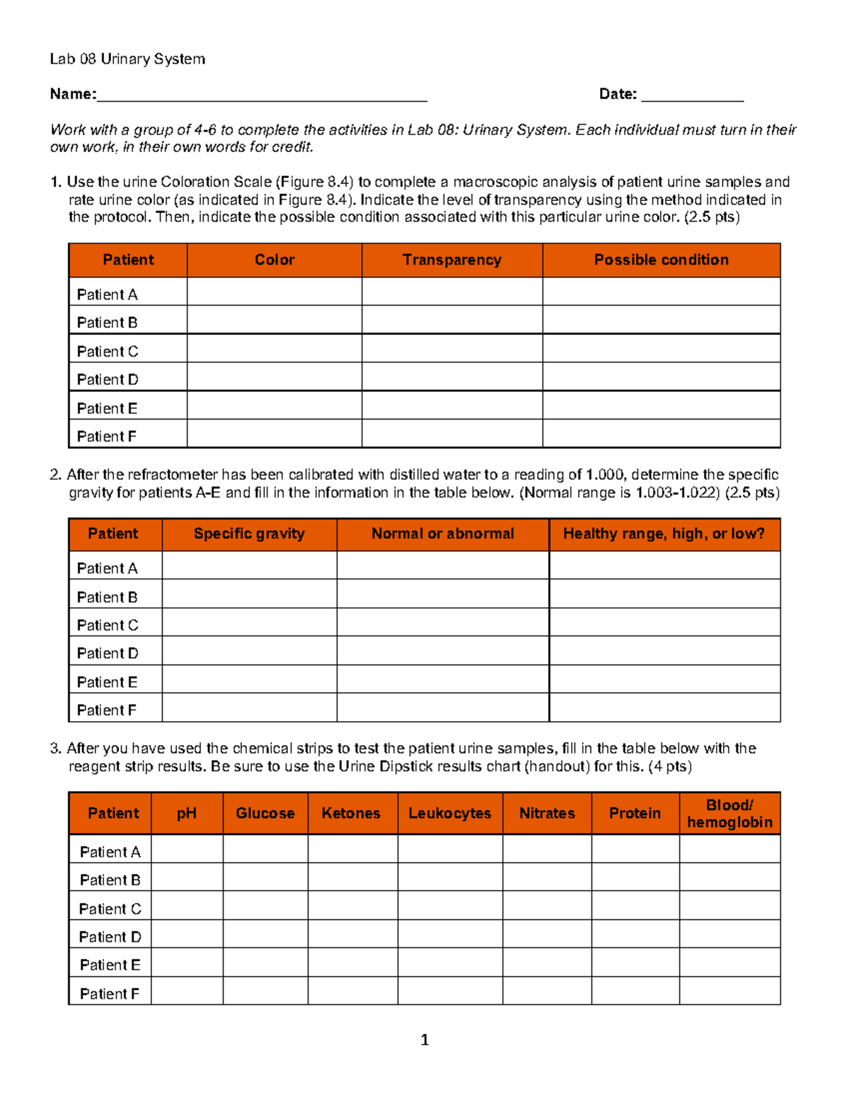 Lab 08 - Urinary system answer sheet and analysis results - Studocu