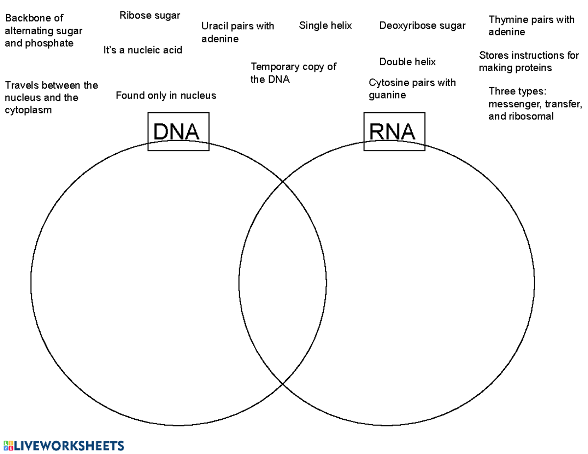 Nucleic Acid Venn Diagram