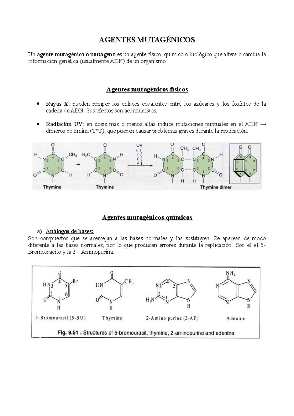 Agentes Mutagénicos - AGENTES MUTAGÉNICOS Un agente mutagénico o ...