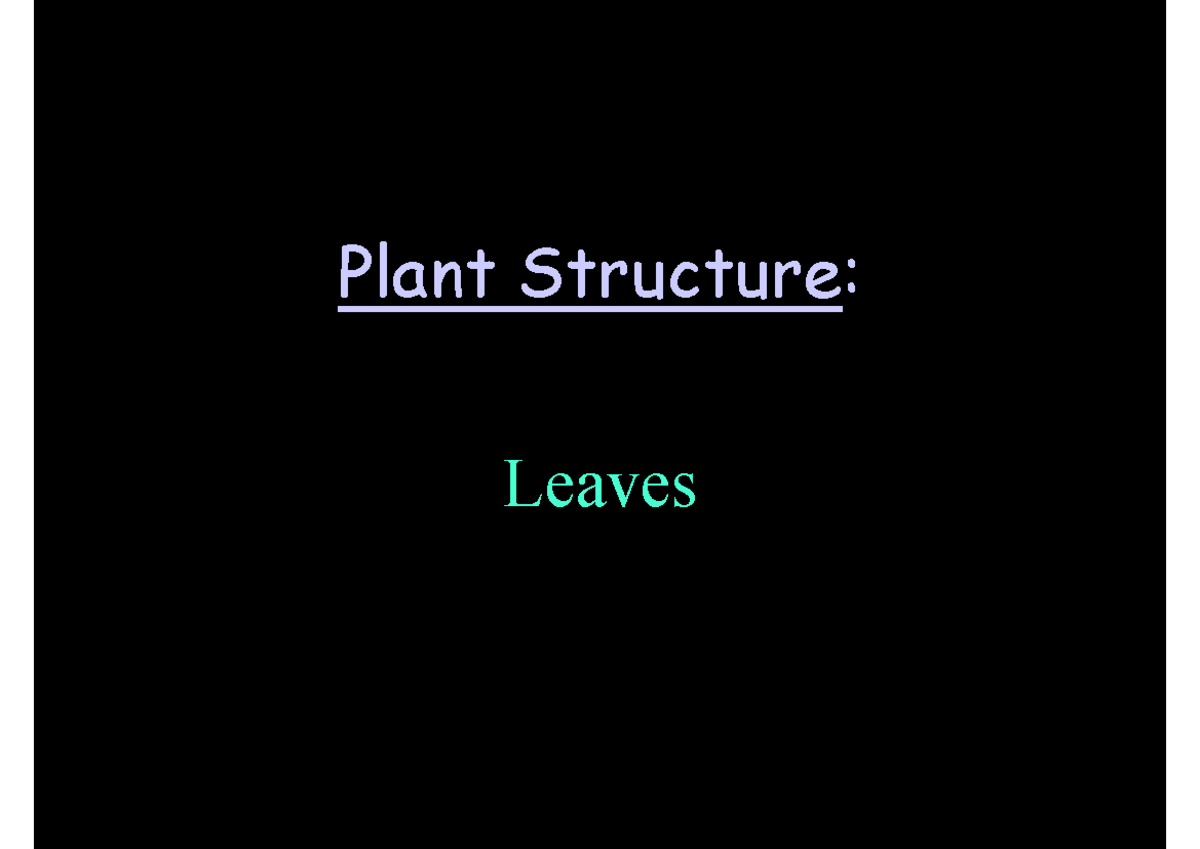 Lecture Notes on Leaf Morphology and Anatomy (Biology 101) - Studocu
