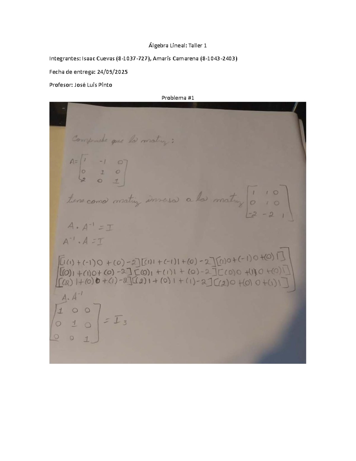 Álgebra Lineal - Taller 1 - Álgebra Lineal: Taller 1 Integrantes: Isaac ...