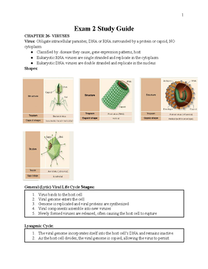 Evolution of Body Plans in Animals: Features, Diversity, and Functions ...