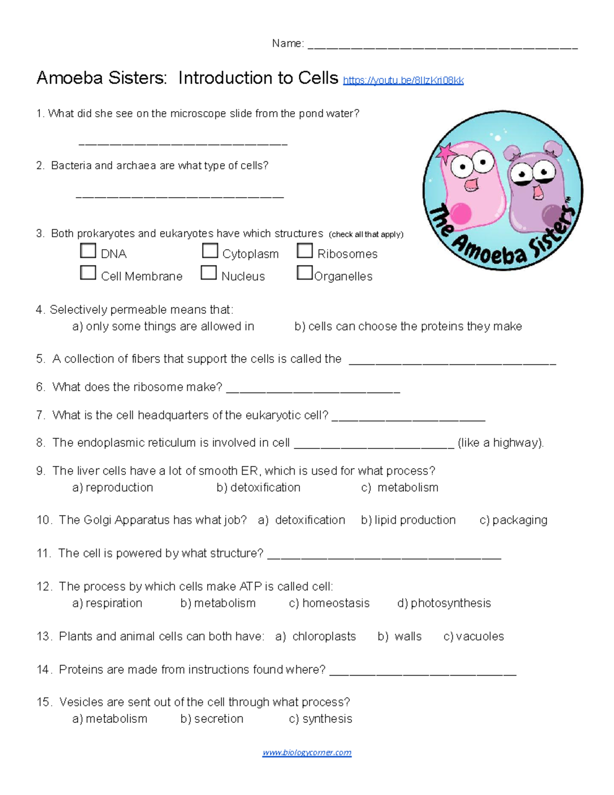 Amoeba Sisters: Intro to Cells - Study Guide for Biology 101 - Studocu