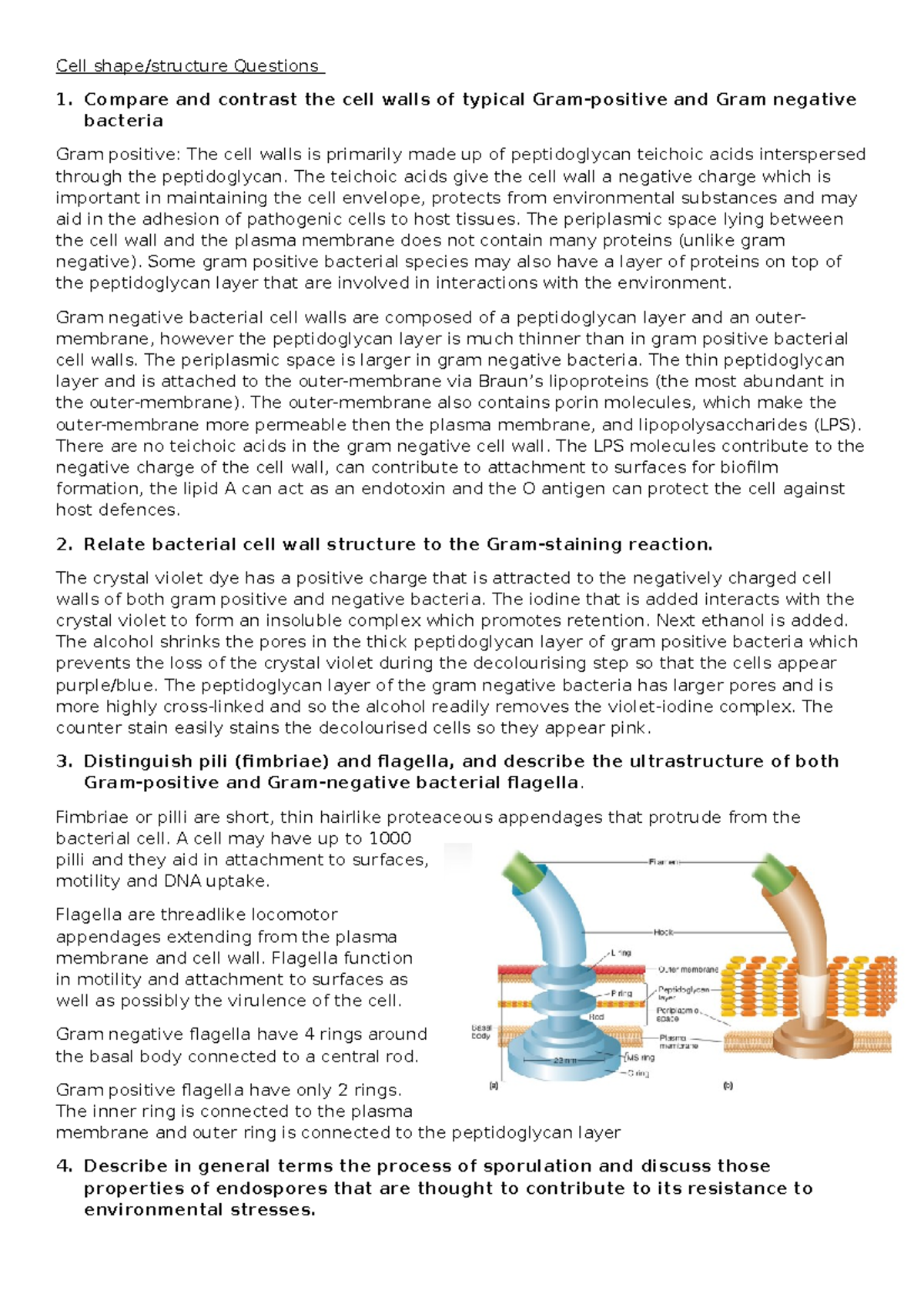 Microbial Biology 101 - Practice Questions on Cell Structure and ...