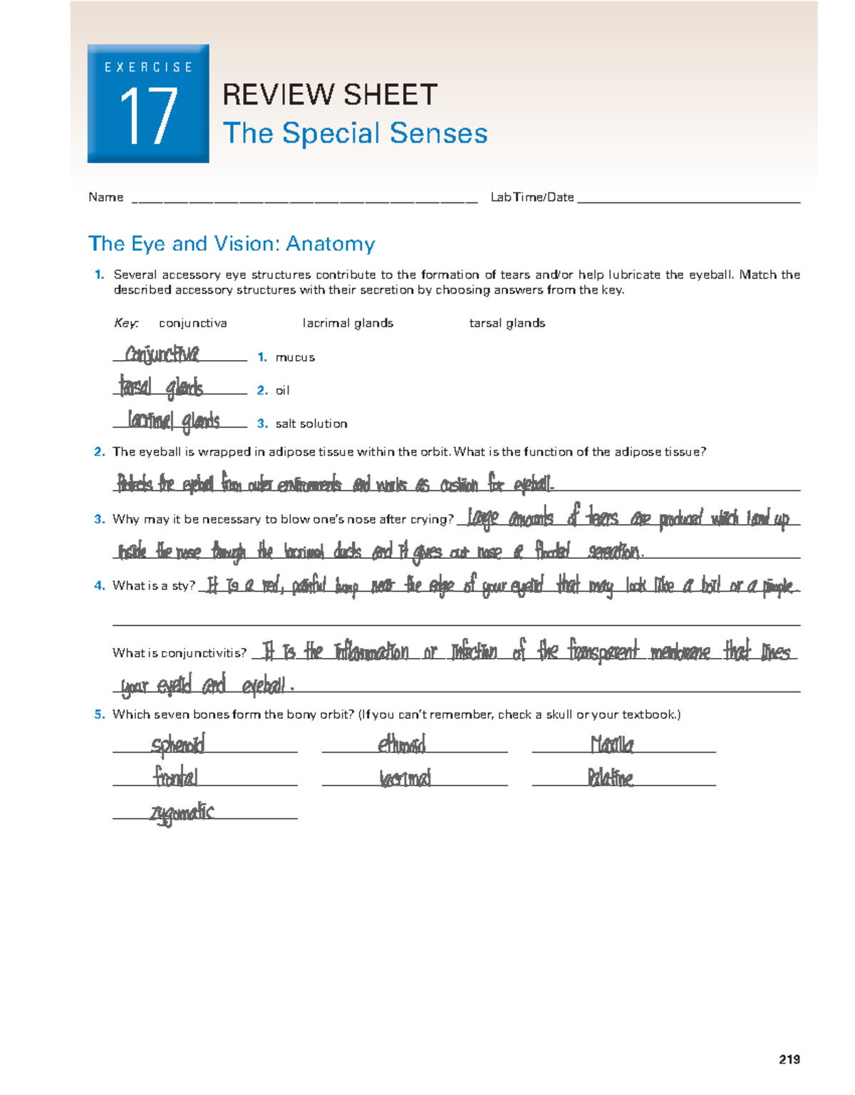 A&P - Special sense - 219 E X E R C I S E 17 REVIEW SHEET The Special ...