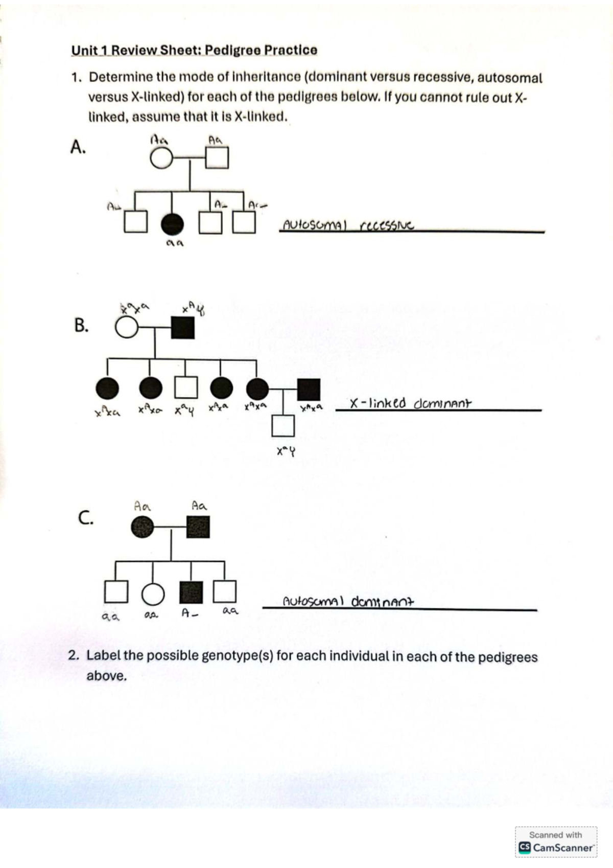 Unit 1 Review Sheet: Pedigree Practice & Inheritance Modes - Studocu