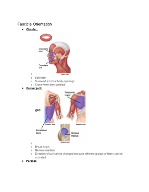 [Solved] what are systemic anatomy surface anatomy regional anatomy ...