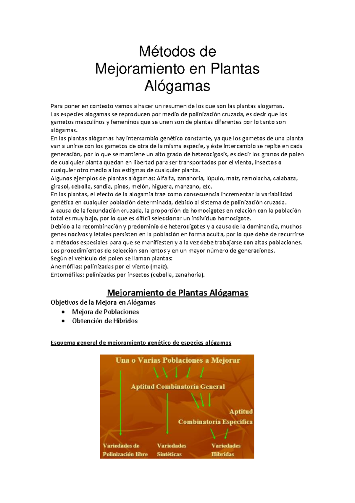 Métodos de Mejoramiento Genético en Plantas Alógamas - PDF - Studocu