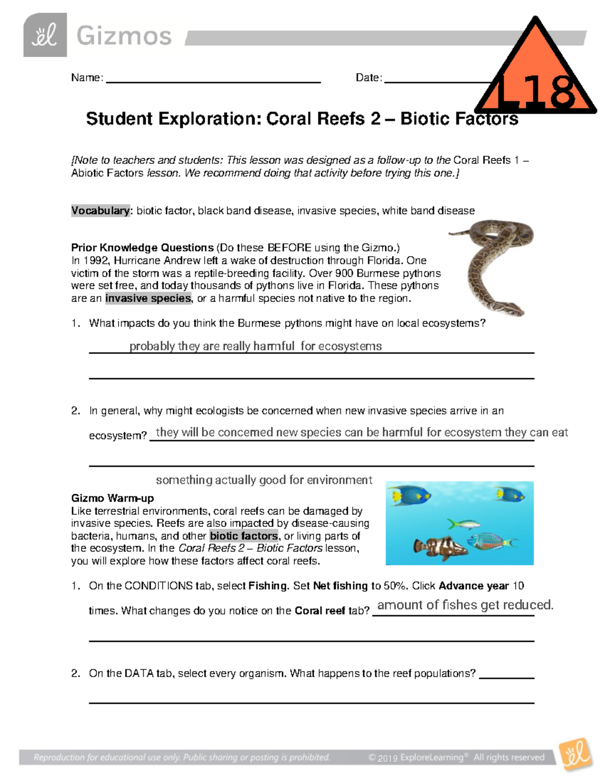 Coral reefs biology - Name: Date: Student Exploration: Coral Reefs 2 ...