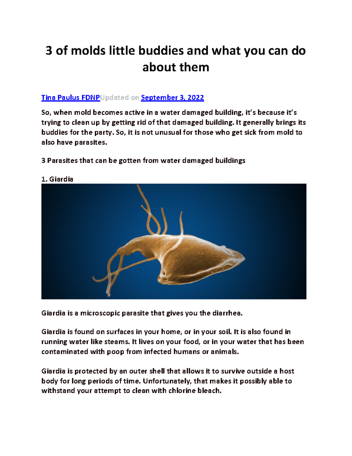 3 Mold Buddies and Their Associated Parasites: A Guide to Prevention ...
