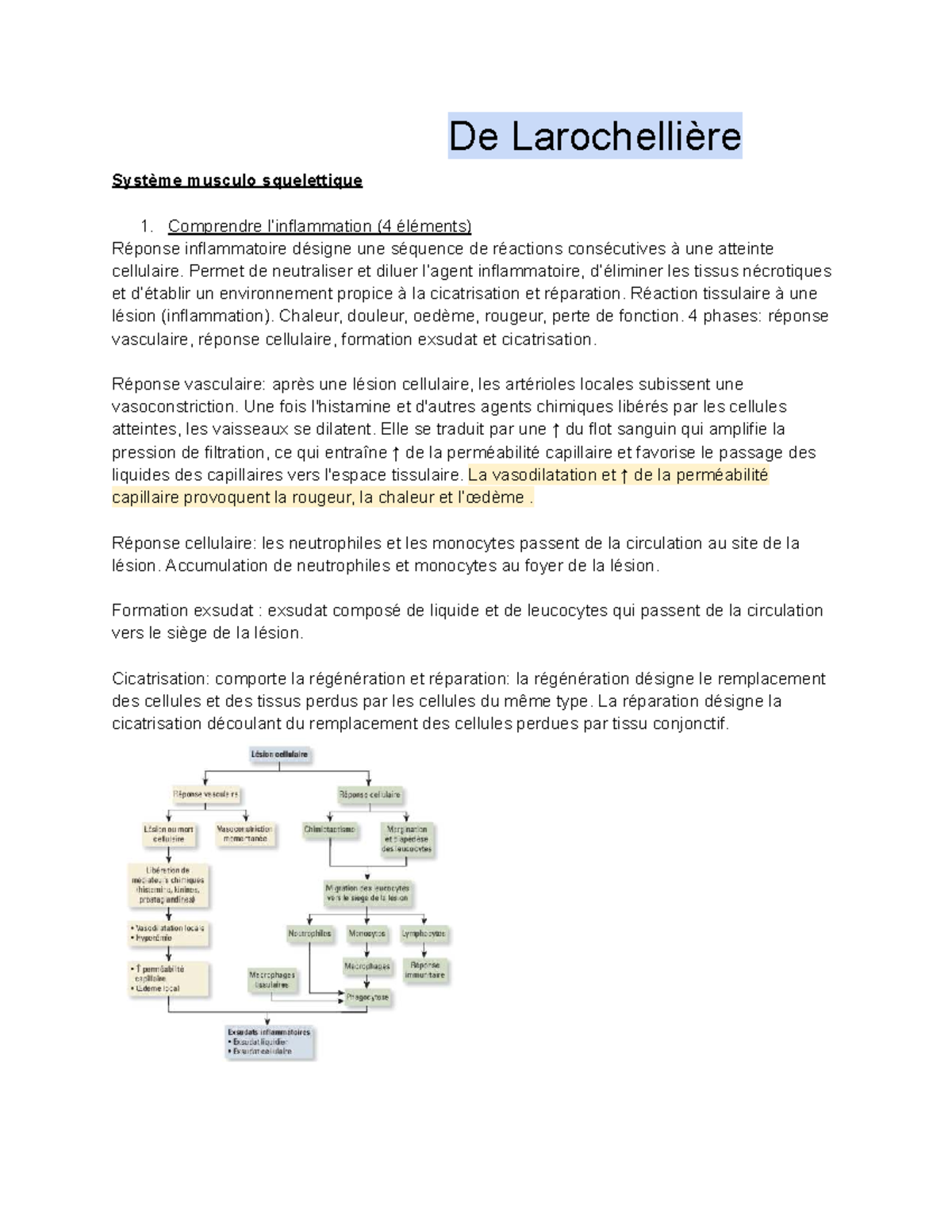 Physiologie et Pathologie du Système Musculo-Squelettique - Uni app 2 ...
