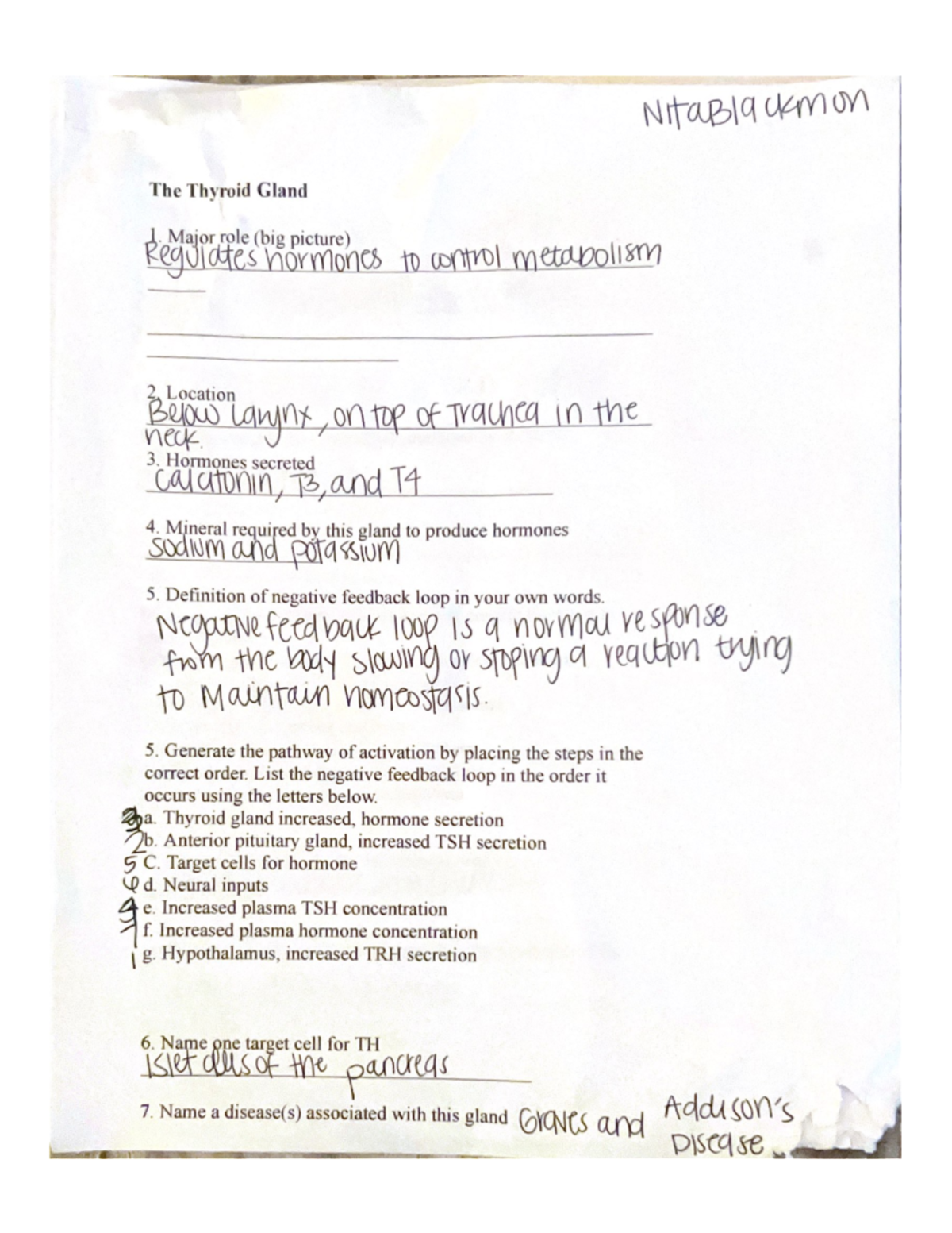 Thyroid Gland Practice Worksheet - Endocrine System Study Guide - Studocu