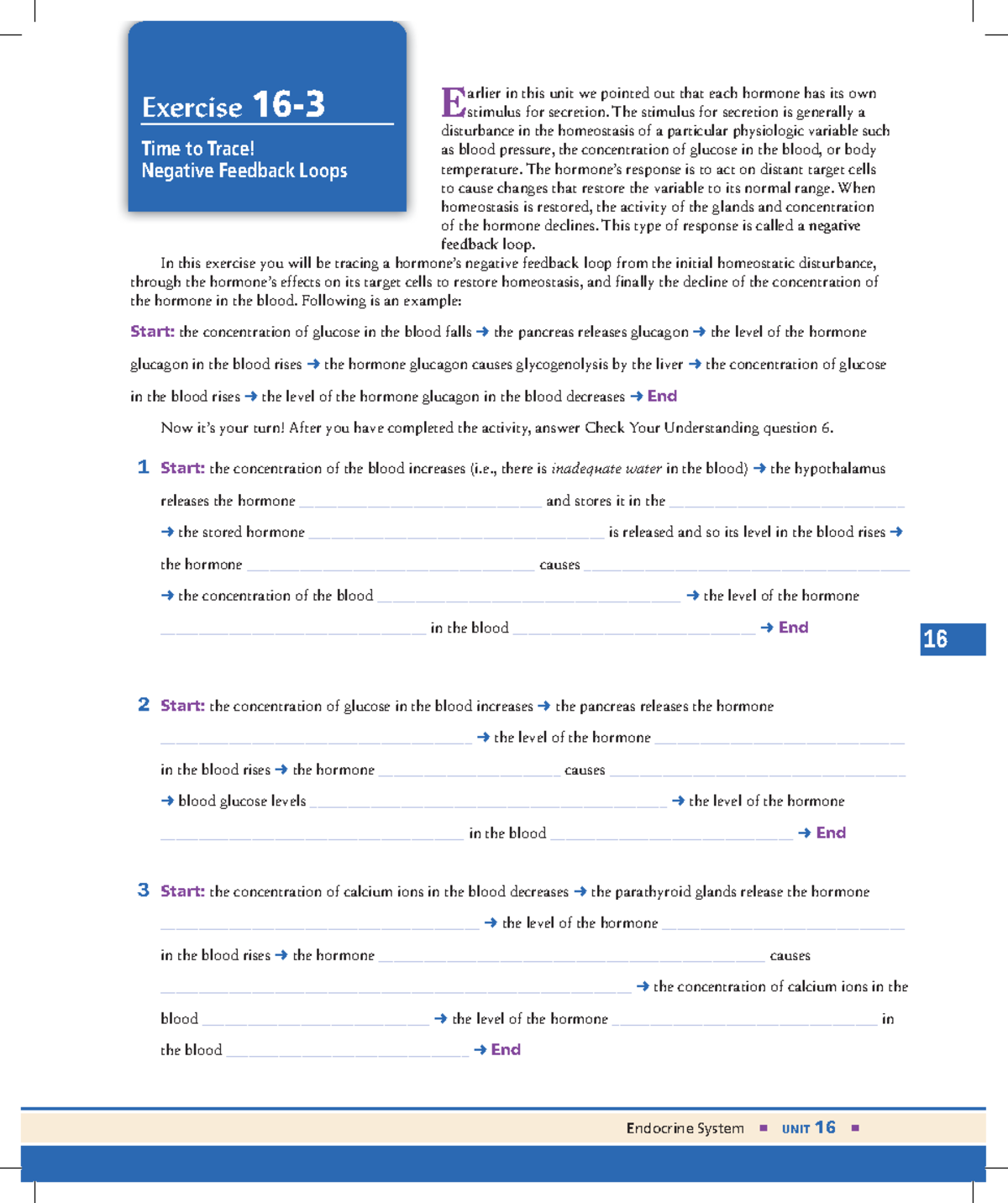 Unit 16 Exercise 16-3: Tracing Negative Feedback Loops in Endocrine ...