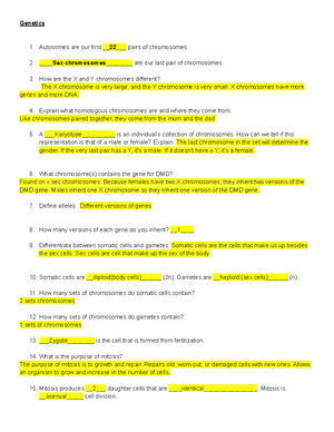 Abstract Reasoning Practice Test 3 - 25 Questions Answer as many ...