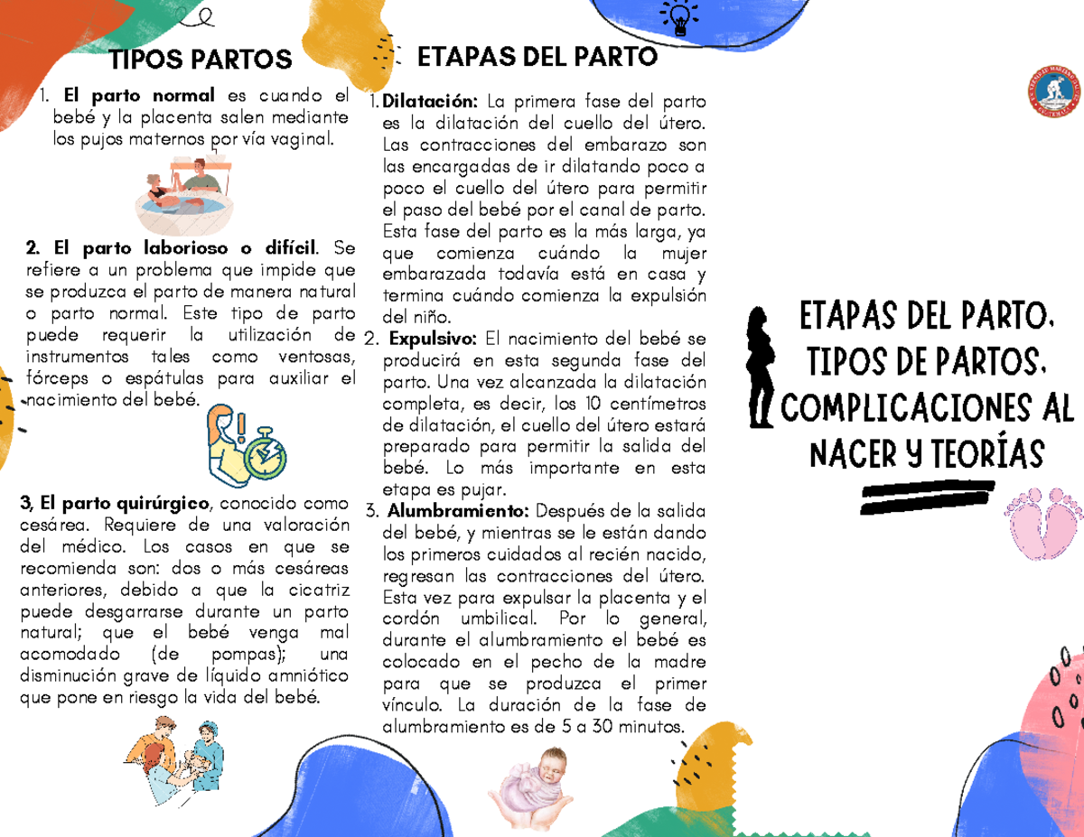 Etapas Del Parto Y El Nacimiento