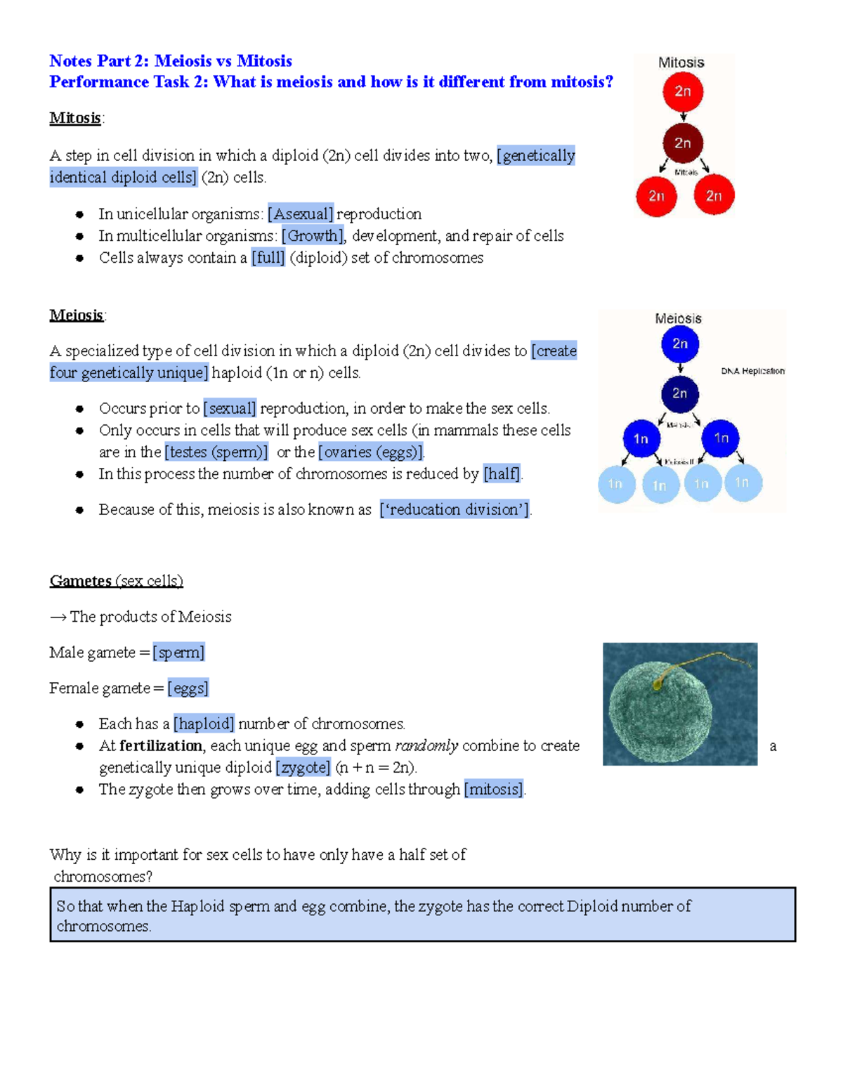 Notes on Meiosis vs Mitosis - Studocu
