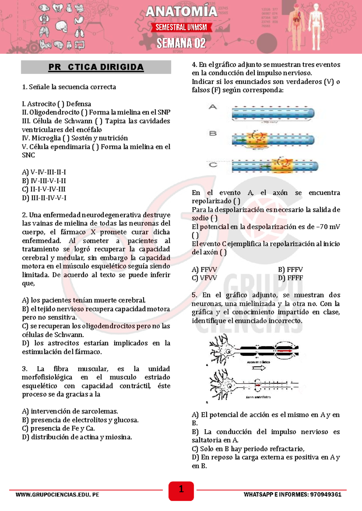 Recurso 1649704731077 Semana 02 - Anatomía - 1 PRÁCTICA DIRIGIDA Señale ...