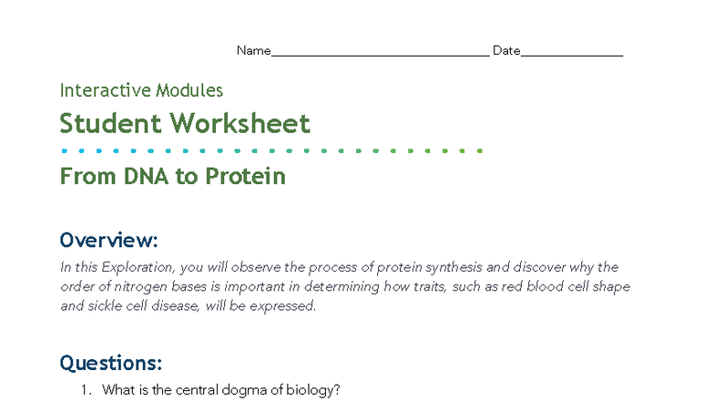 DNA to Protein Synthesis: Interactive Student Worksheet - Studocu