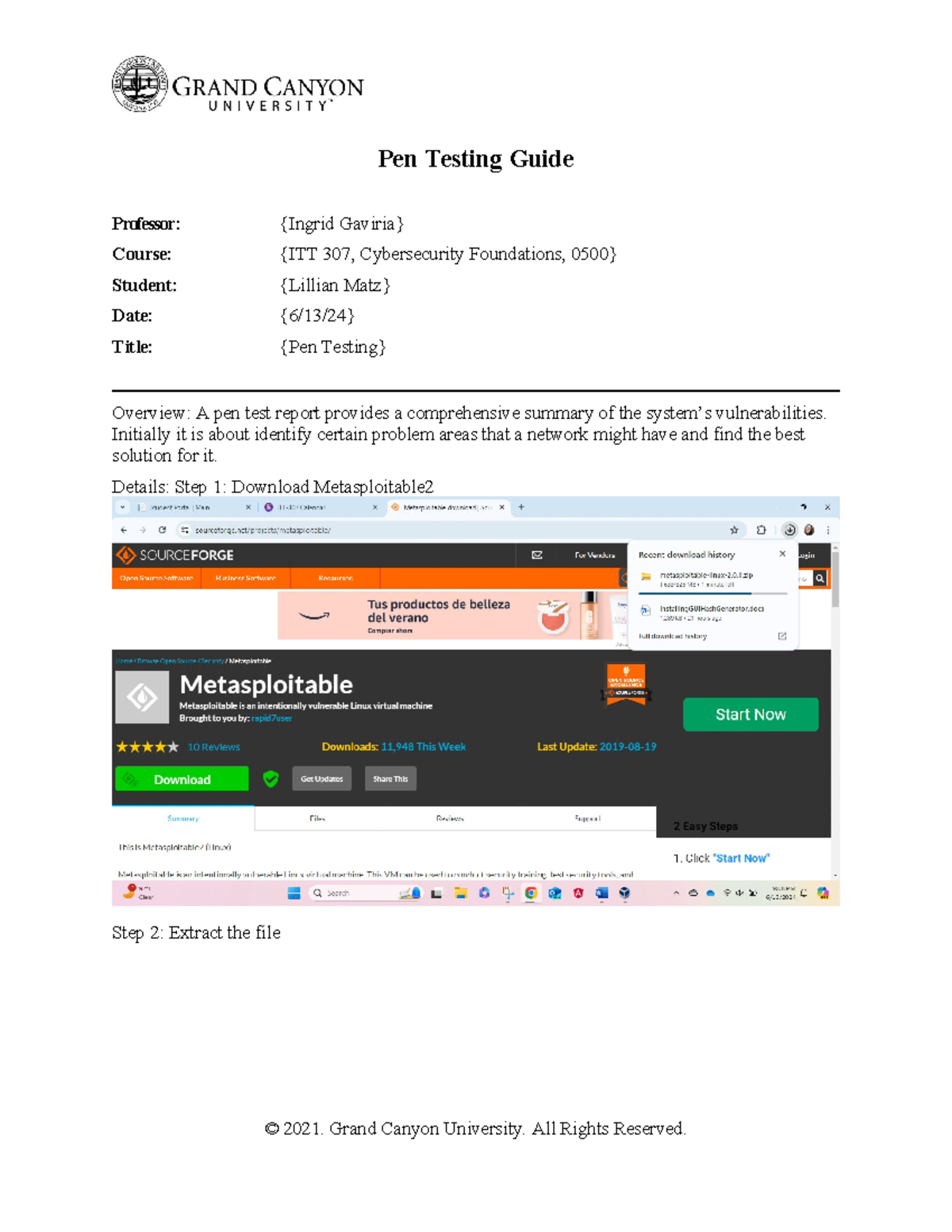 Pentesting - pentration testing - Pen Testing Guide Professor: {Ingrid ...