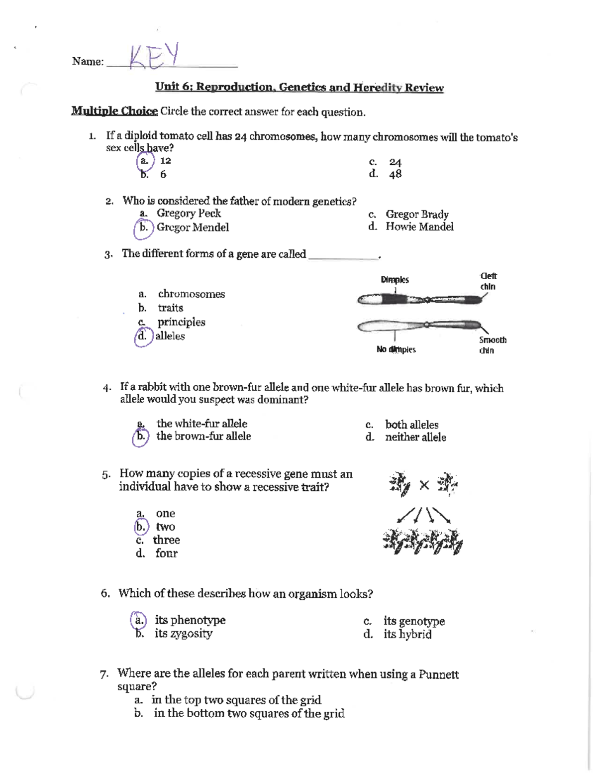 KEY Unit 6: Reproduction, Genetics & Heredity MCQ Review - Studocu
