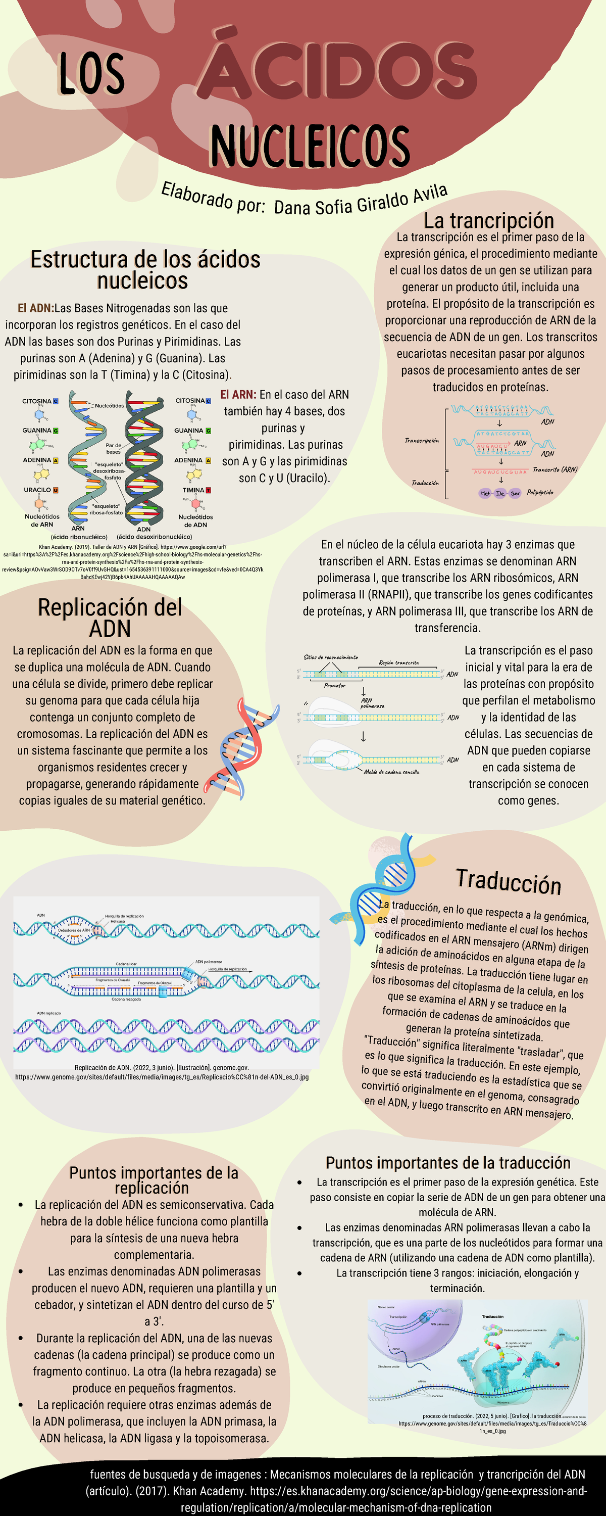 Infografia sobre los ácidos nucleicos - NUCLEICOSNUCLEICOS ÁCIDOSÁCIDOSÁCIDOS Estructura de los ...