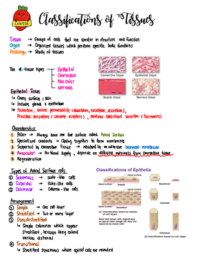 Concept Map - Muscles - MUSCULOSKELETAL SYSTEM | TICKET-IN Muscle Types ...