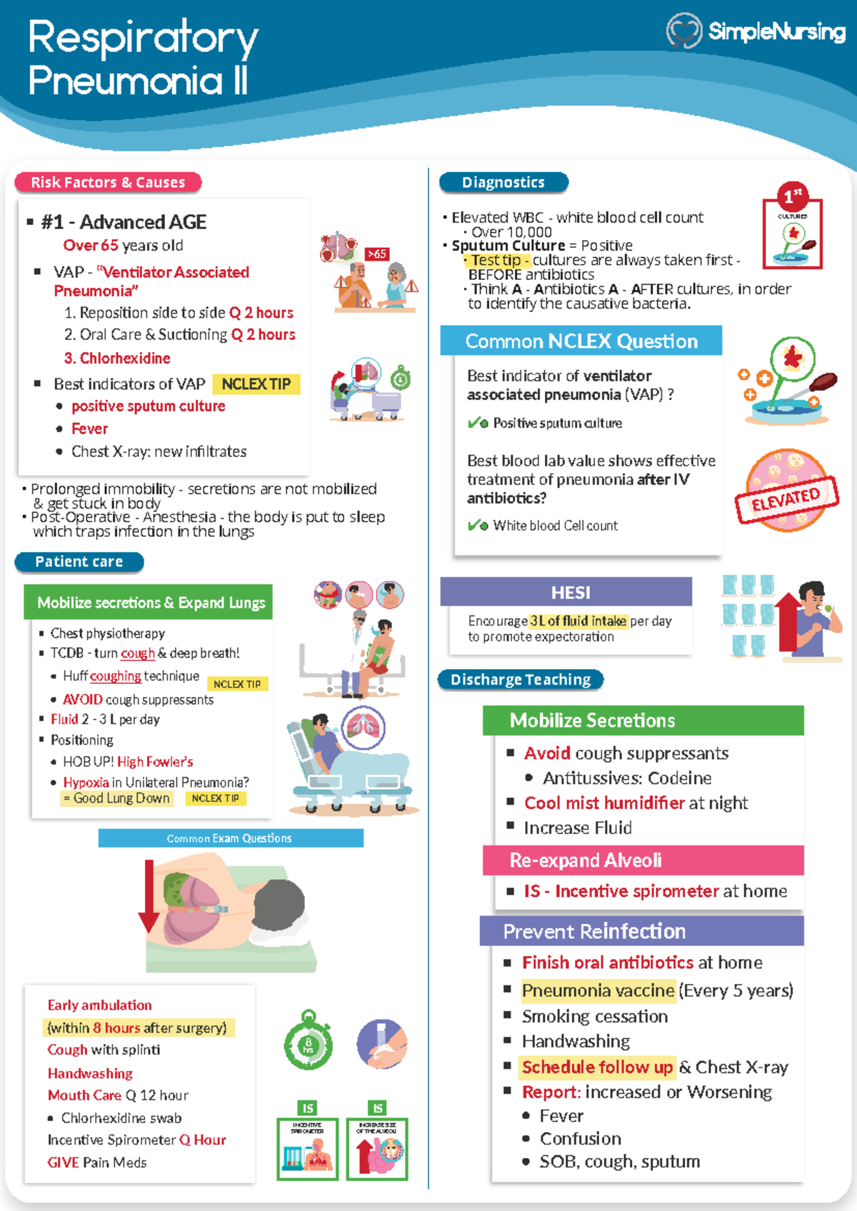 Pneumonia II: Risk Factors, Diagnostics & Management Tips - Studocu