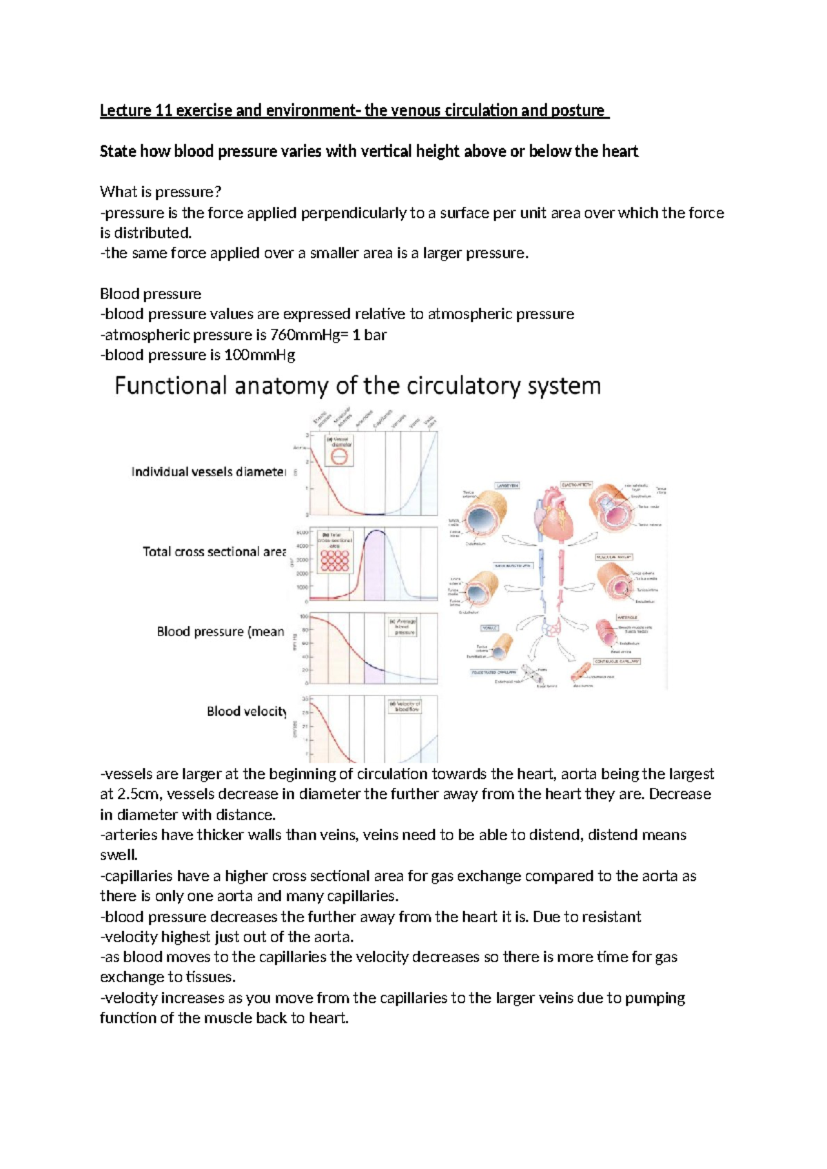 Lecture 11: Blood Pressure Variations & Posture Effects on Venous ...