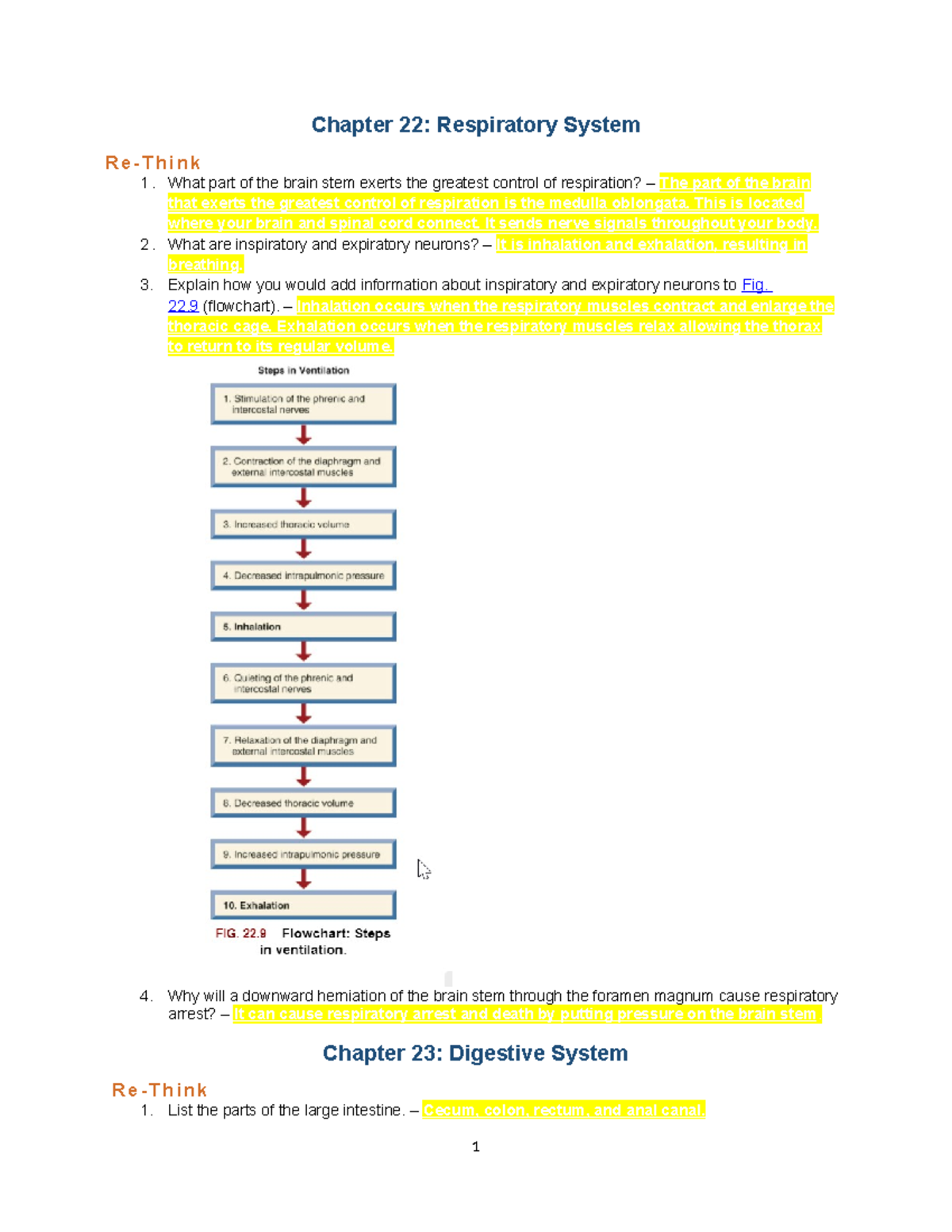 AHP106 Wk5 Assignment - Respiratory, Digestive & Urinary System Key ...