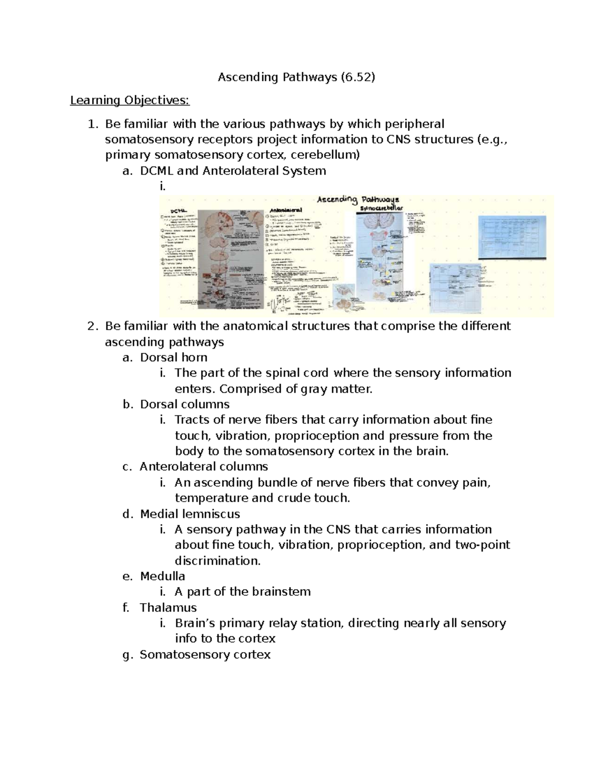 Understanding Ascending Pathways: DCML & Anterolateral Systems (6.52 ...