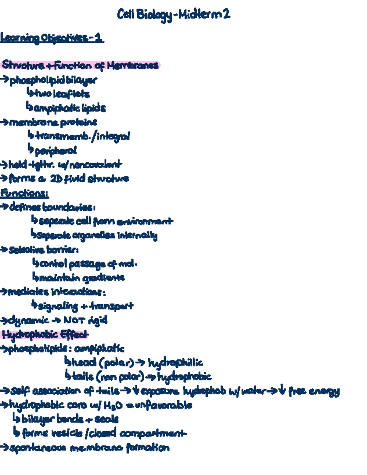 Cell Biology-Midterm 2 Study Guide - Studocu