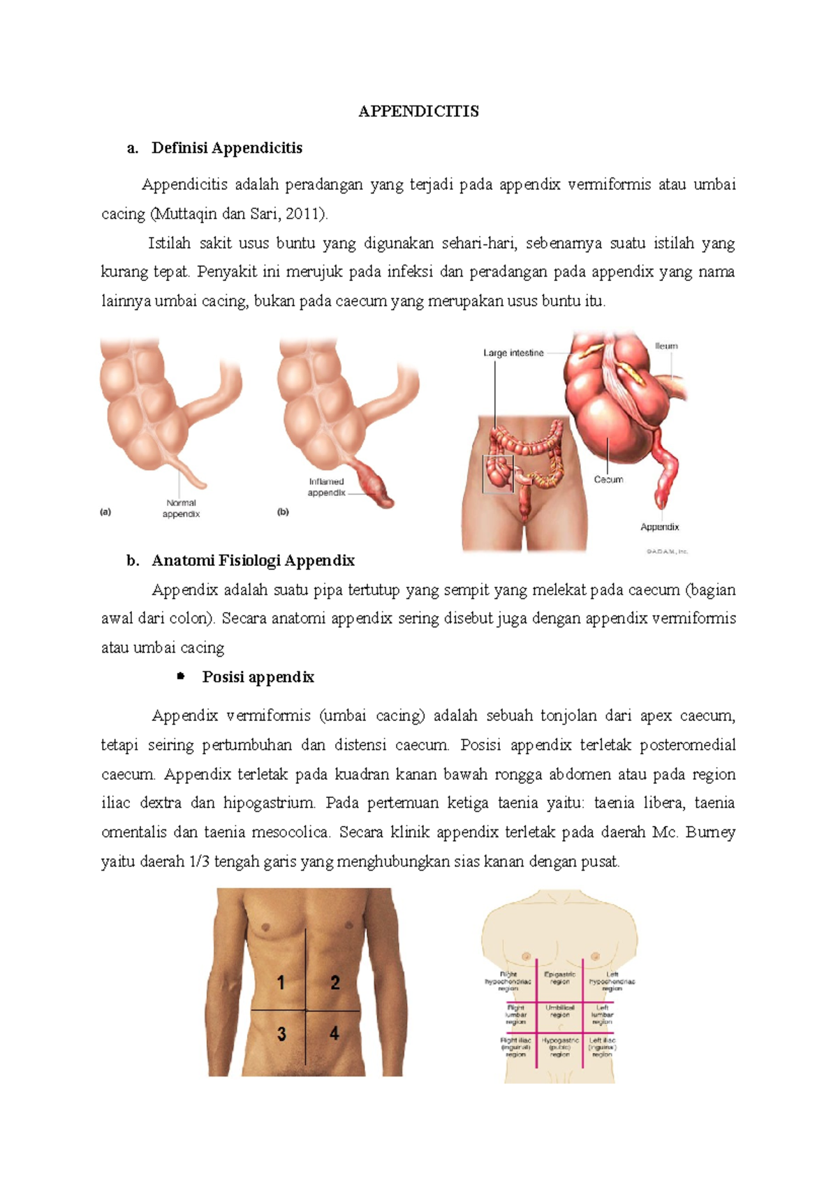 Definisi dan Anatomi Appendicitis: Pahami Peradangan Appendix - Studocu