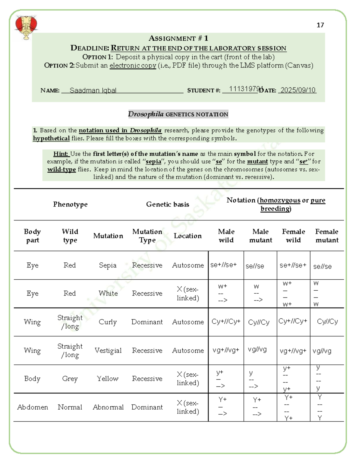 Doj513 Lab 1: Drosophila Genetics Assignment Submission Guidelines - Studocu