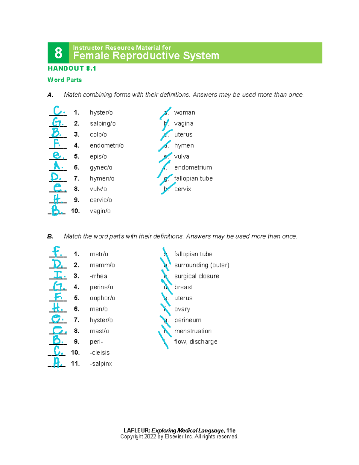 Chapter 008: Female Reproductive System Terminology Guide - Studocu
