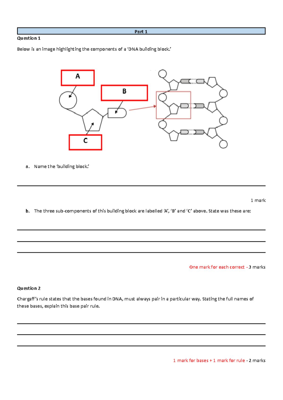 Genetics Practice Test Y10: Exploring DNA, Inheritance & Pedigrees ...