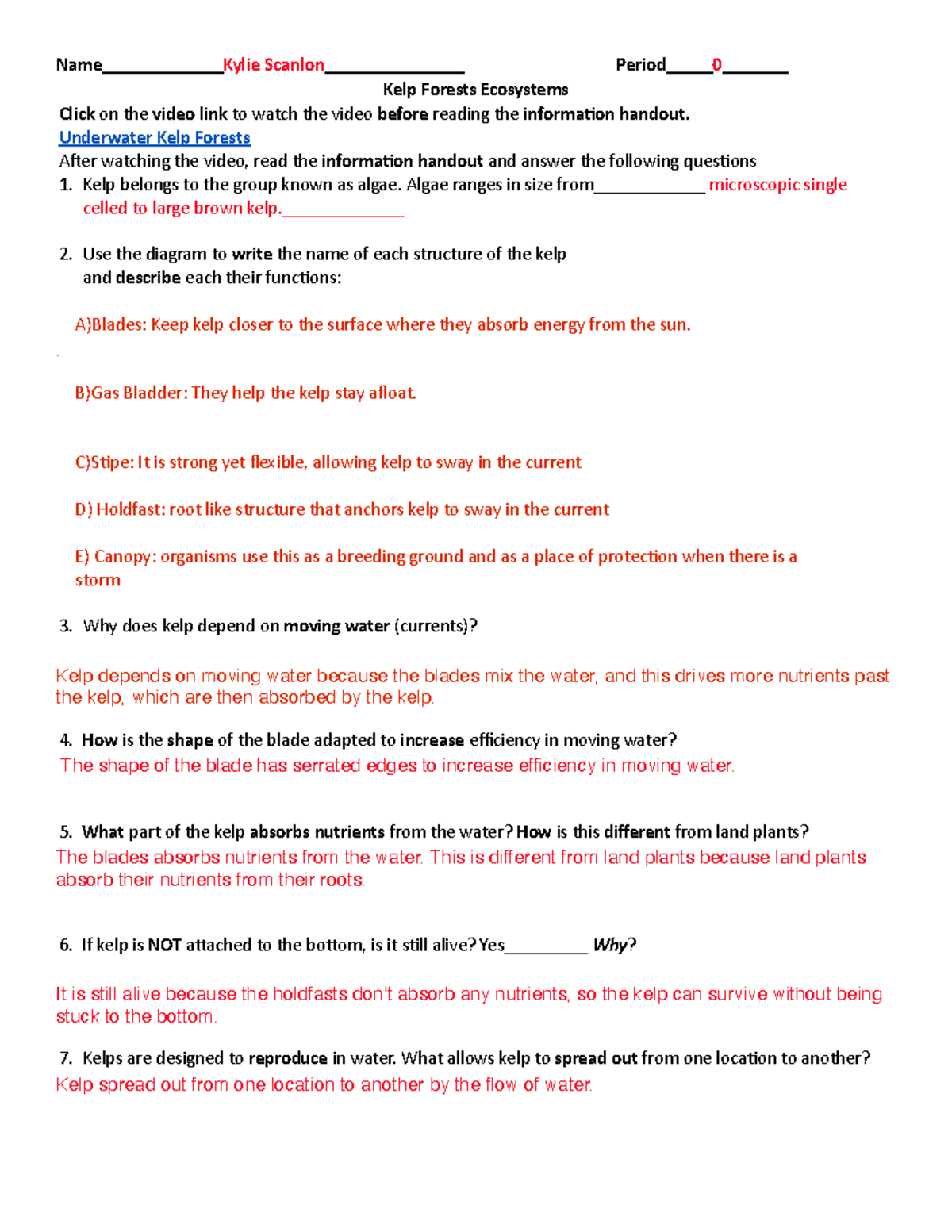 Kelp+Forest+Ecosystems+Activity+Questions - Name_____________Kylie ...