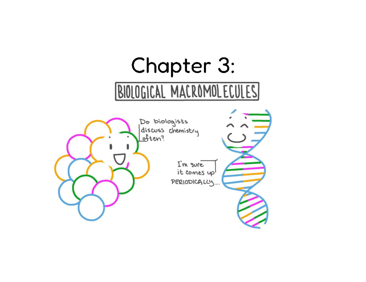 BIOL111 Chapter 3: Macromolecules, Reactions, and Functions - Studocu