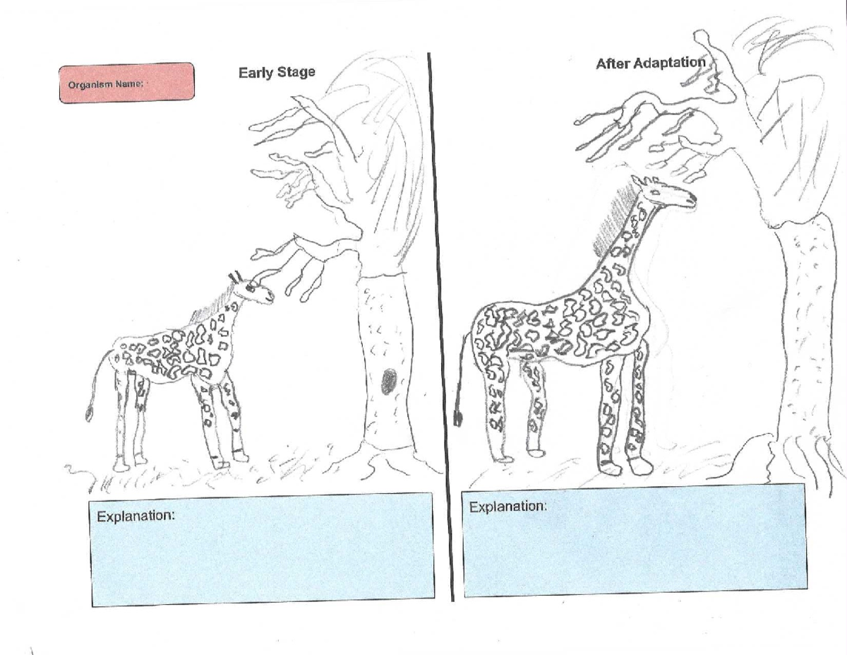 Giraffe - i want to be a math additct - MATH55 - Early Stage After ...