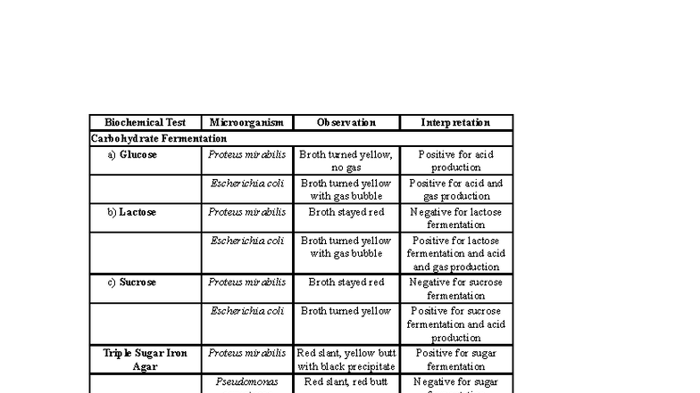 Biochemical Test Results: Carbohydrate Fermentation & IMVIC Analysis ...