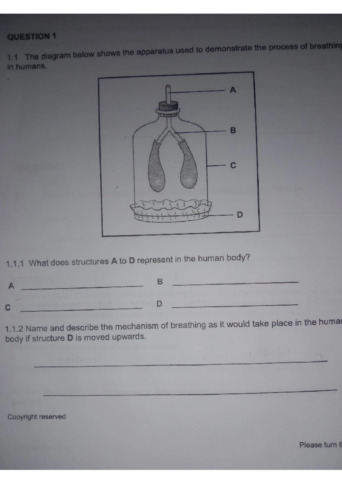 Grade 11 Life Sciences Exam Guidelines 2025 - North West DoE - Studocu
