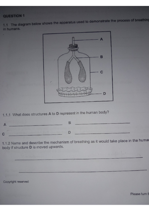 [Solved] Grade 11 may 2025 assignment life science - Life sciences ...