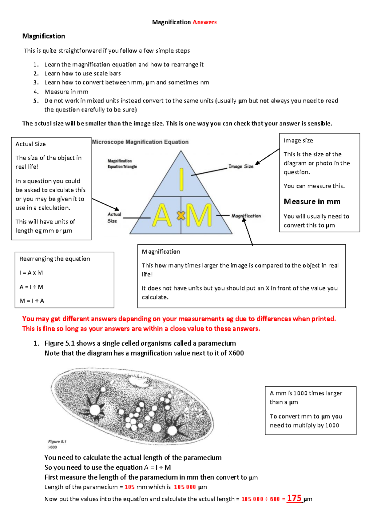Answers-Magnification - Magnification Answers Magnification This is ...