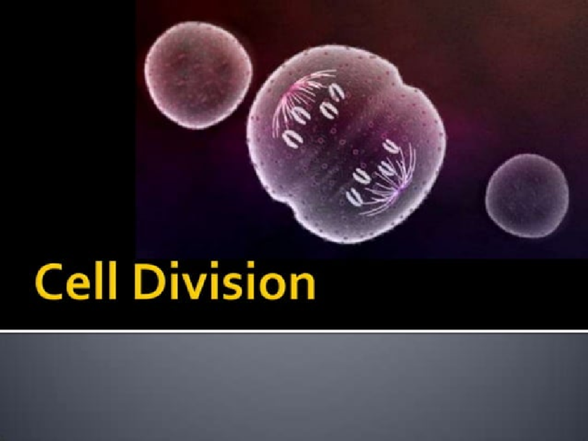 Chapter 3: Lecture Notes on Cell Division and the Cell Cycle - Studocu