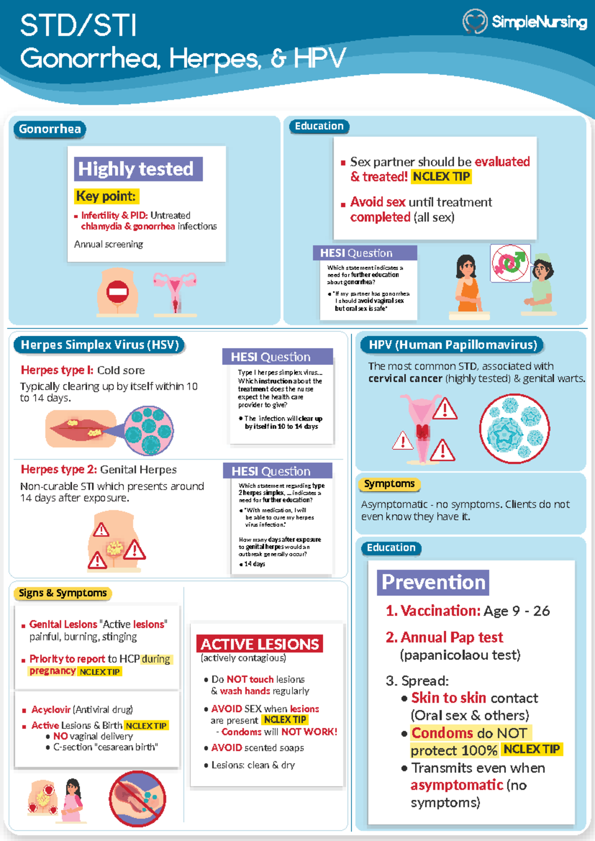 Med Surg - Reproductive - STD Education: Gonorrhea, HSV & HPV Insights ...