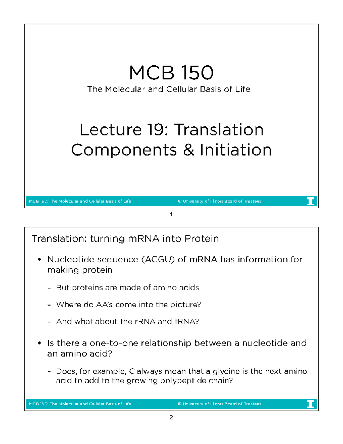 MCB 150 Lecture 19: Translation Components and Initiation Overview ...