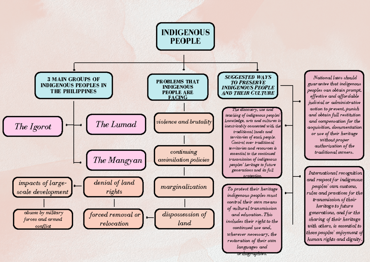 Graphic organizer (Indigenous People) - INDIGENOUS PEOPLE PROBLEMS THAT ...
